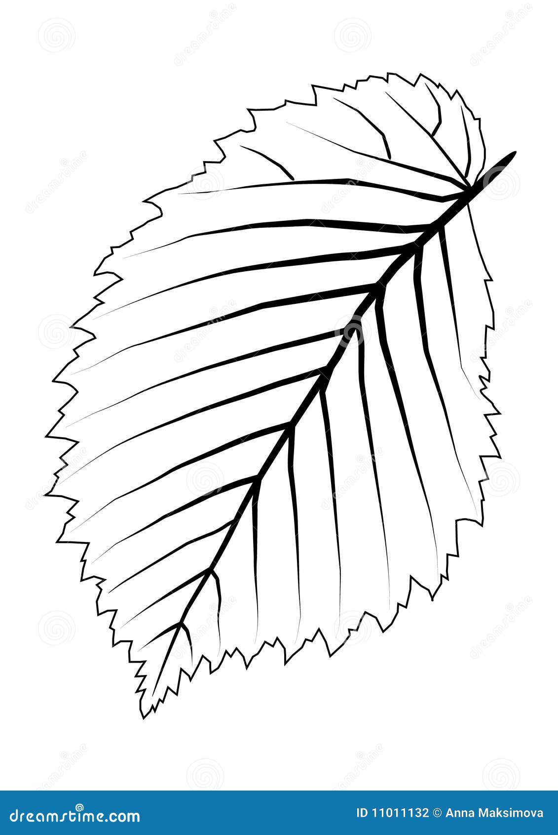 Leaf tree outline stock vector. Illustration of vein - 11011132