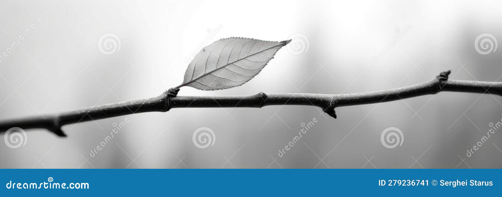 A Leaf on a Twig on a Tree Branch. Generative AI Image. Stock ...