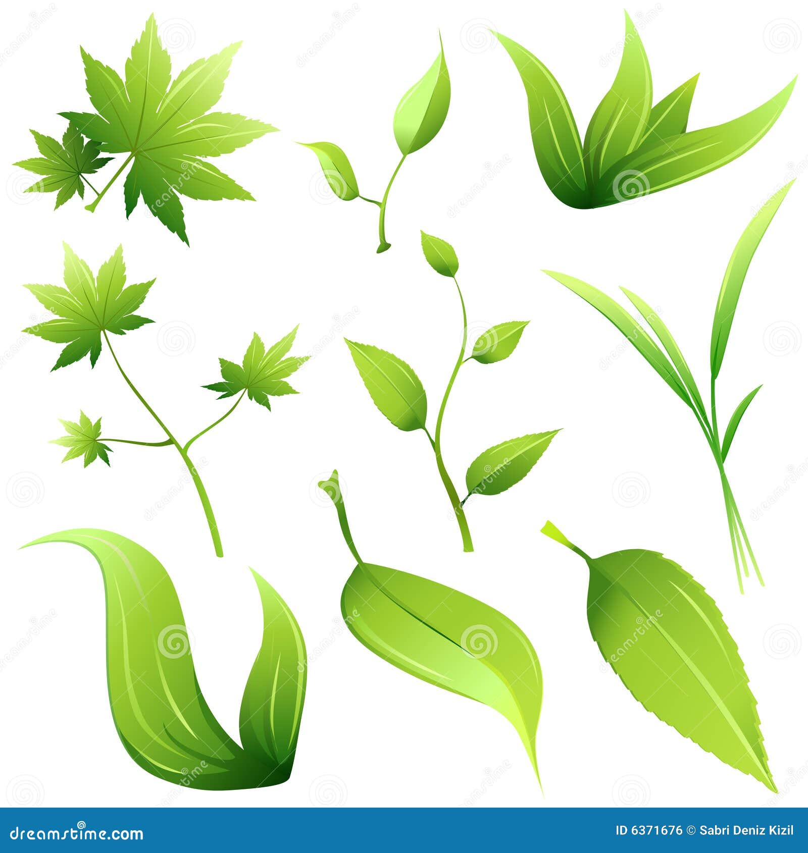 View Leaf Vector Jpg