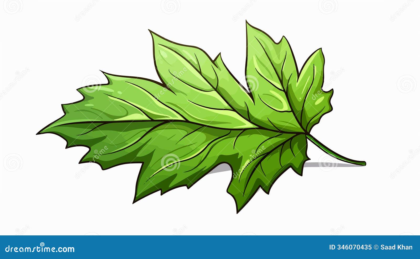 Leaf Vector Drawing Cartoon Vector Illustration Stock Illustration ...