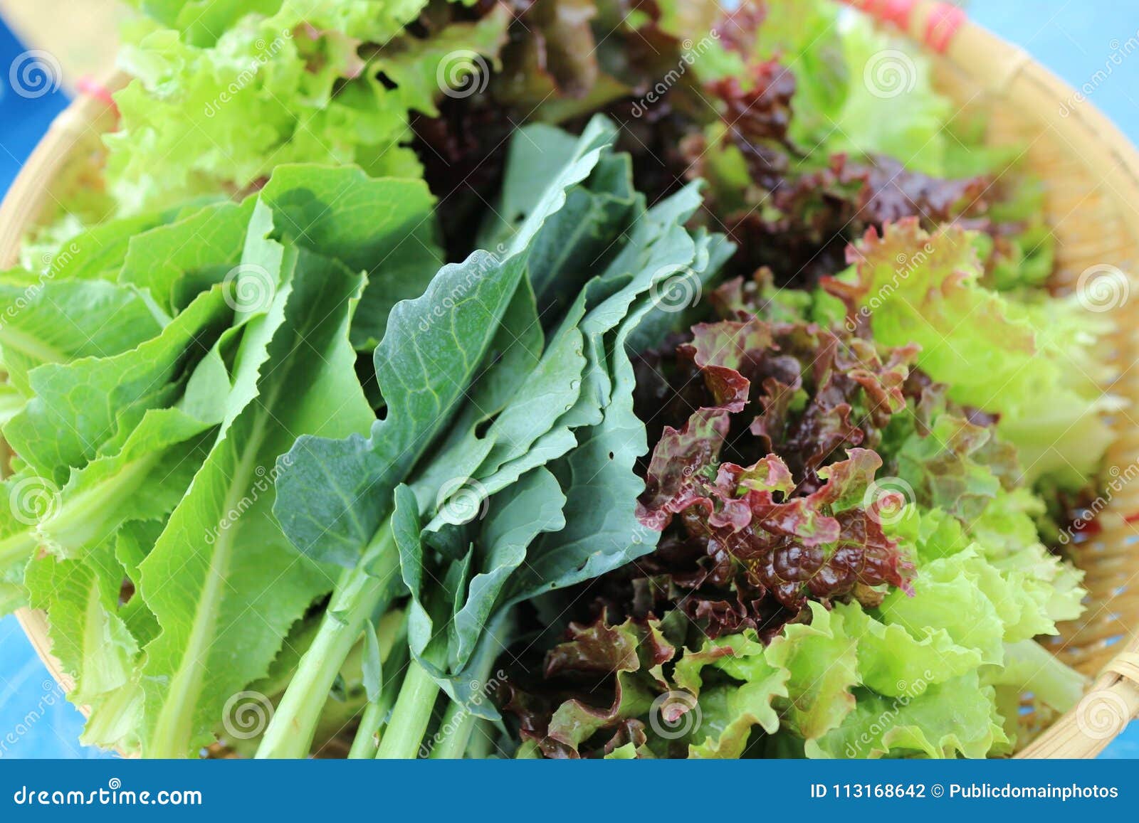 Leaf Vegetable, Dish, Vegetable, Vegetarian Food Picture. Image: 113168642