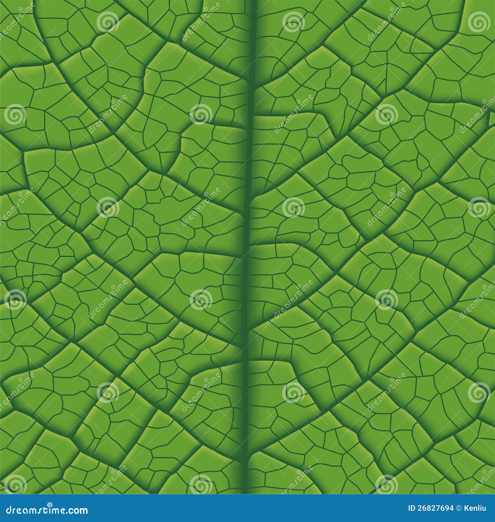 Leaf Vein stock vector. Illustration of life, vein, grow - 26827694