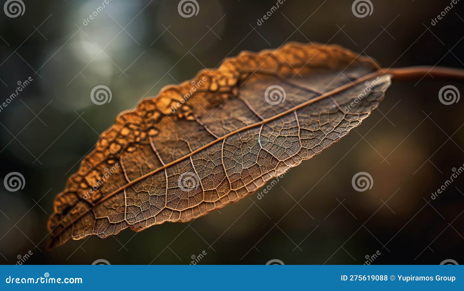 Leaf Vein Pattern on Dry Autumn Plant Generated by AI Stock Photo ...