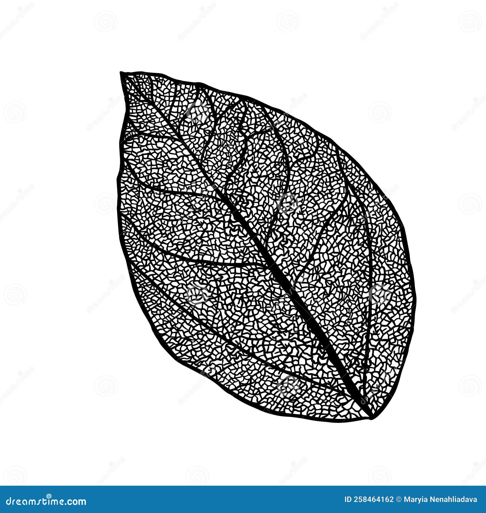Tree Leaf Skeletonized Monochrome. Vector Illustration Stock ...