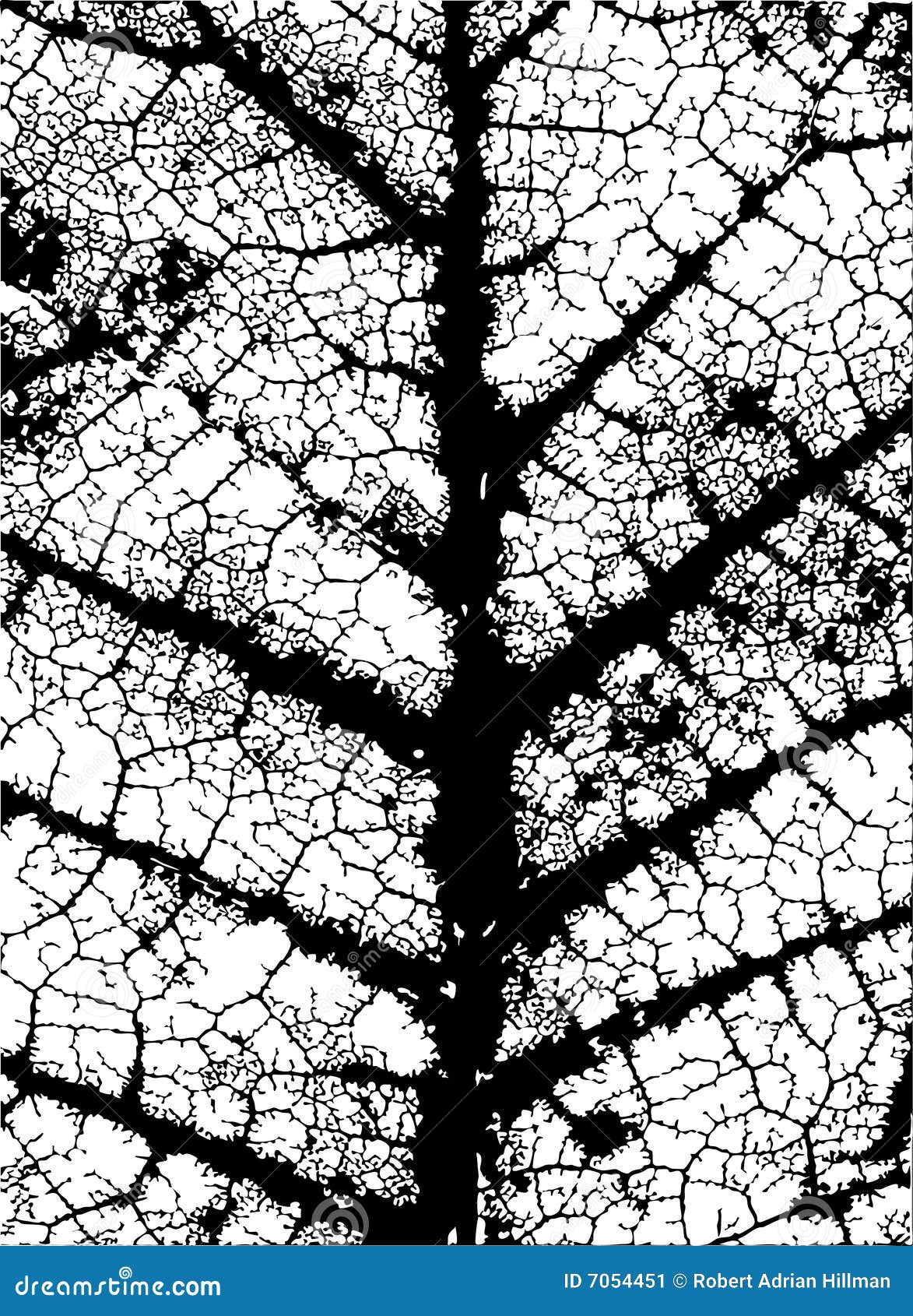 Leaf Veins Seamless Texture Pattern Royalty-Free Stock Photo ...