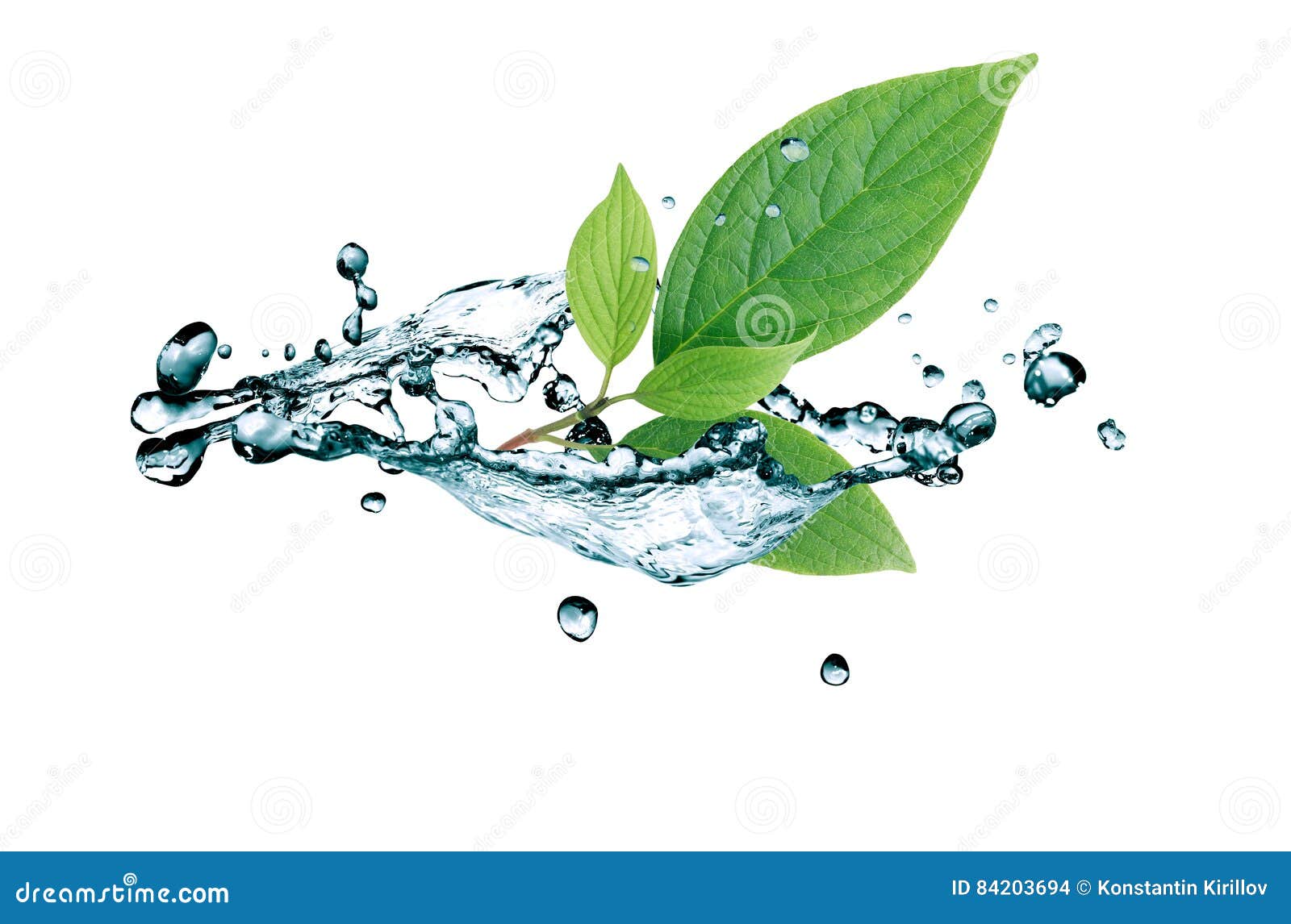 Leaf in Water Splash stock photo. Image of liquid, ecology - 84203694