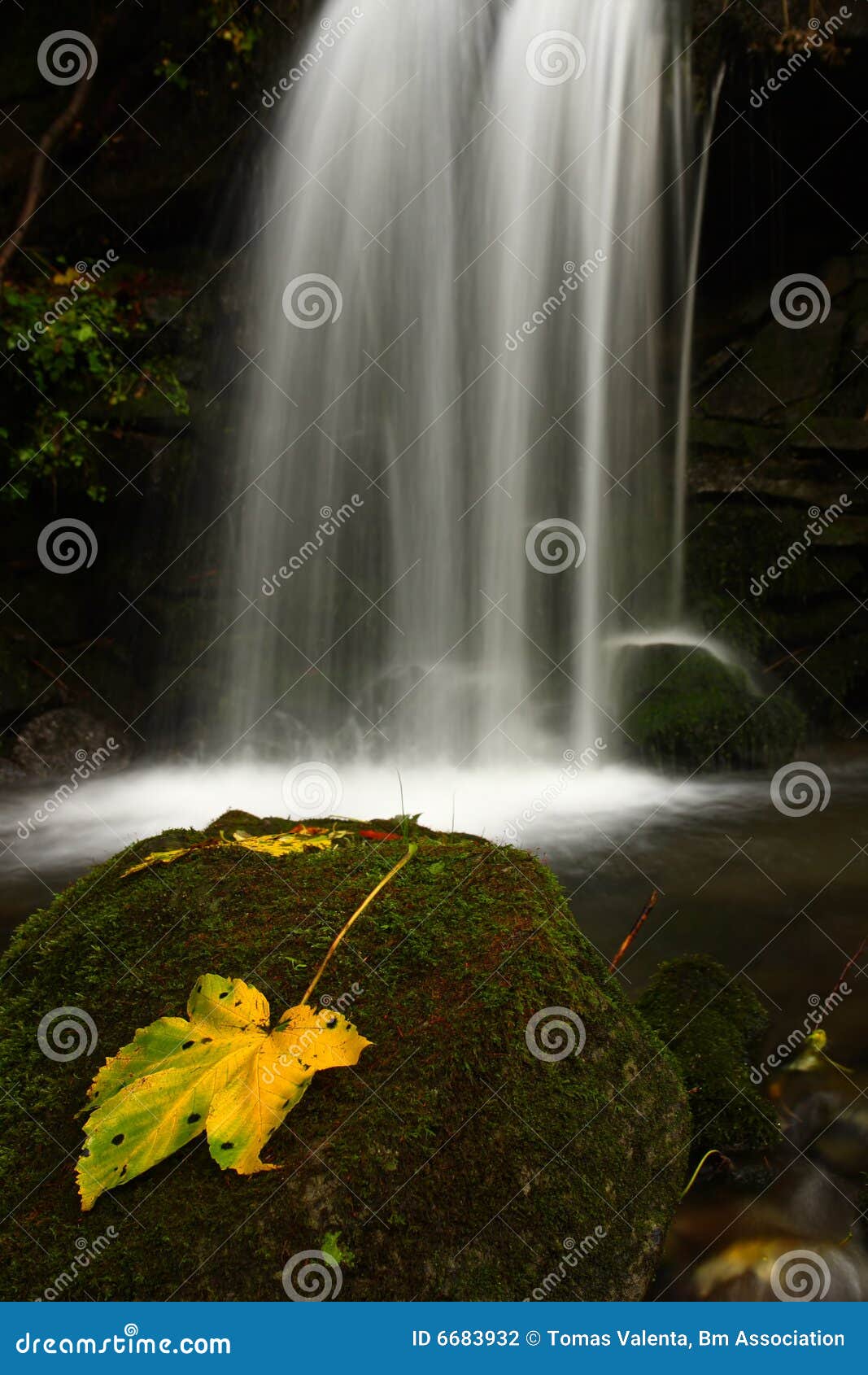 Leaf with waterfall stock photo. Image of magic, energy - 6683932