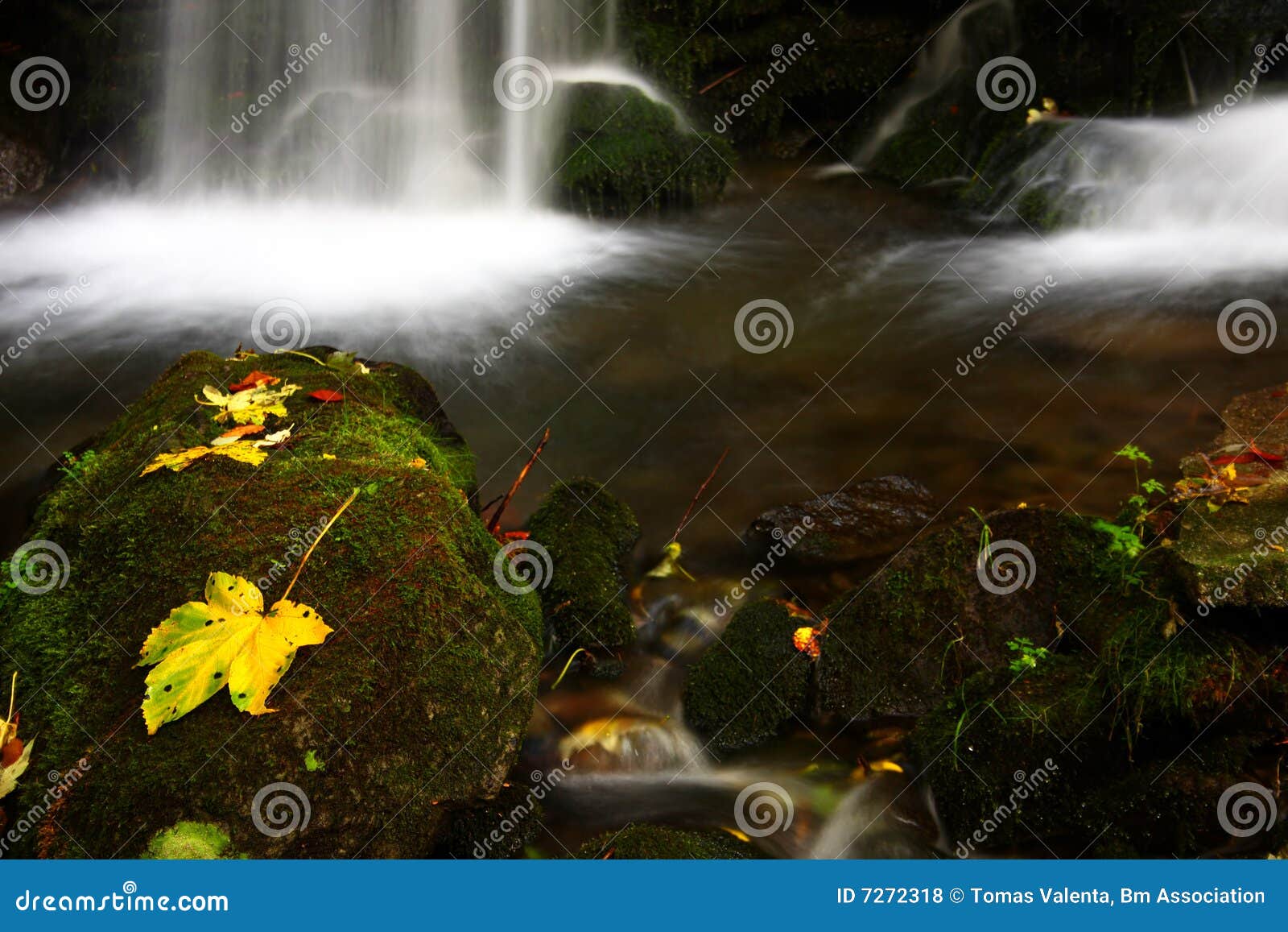 Leaf with waterfall stock photo. Image of environment - 7272318