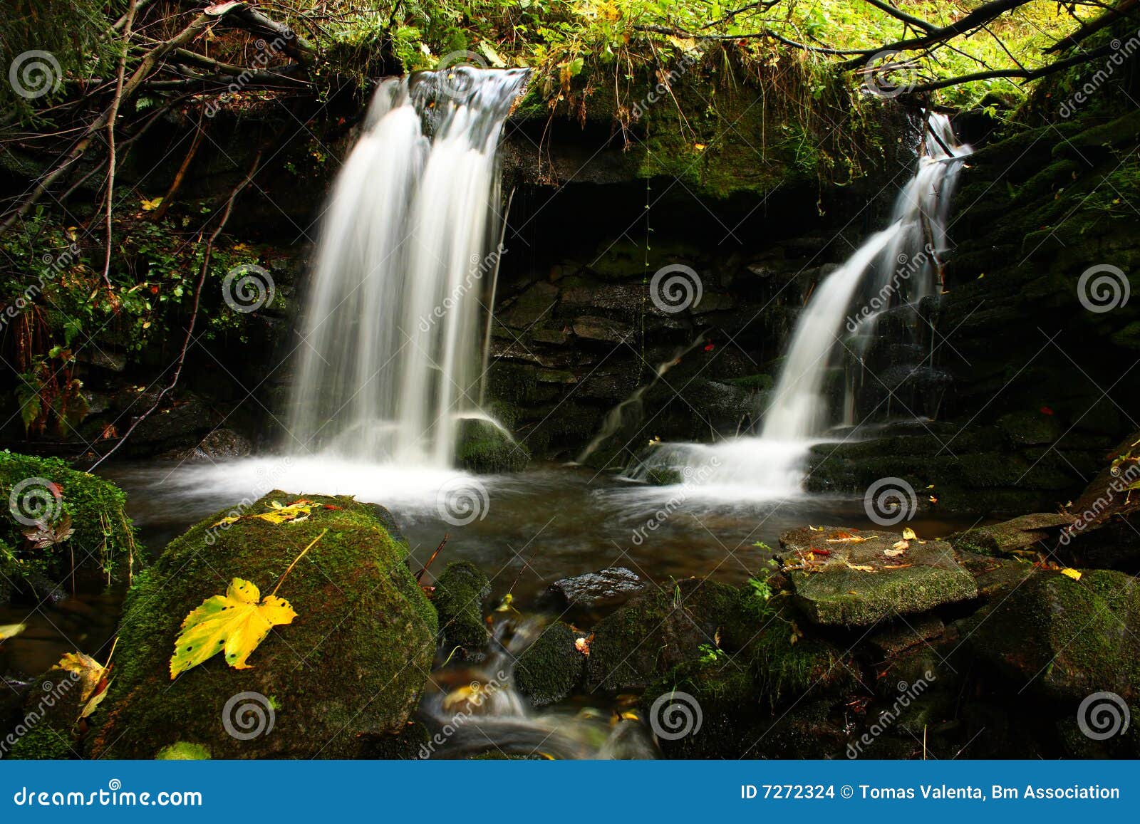 Leaf with waterfall stock photo. Image of magic, forest - 7272324