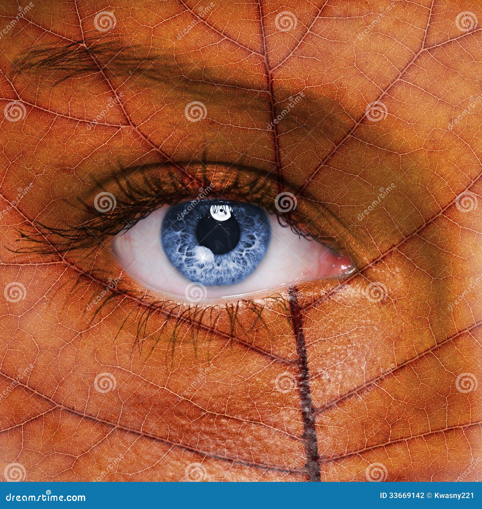 Leaf stock photo. Image of green, biodiversity, leaf - 33669142