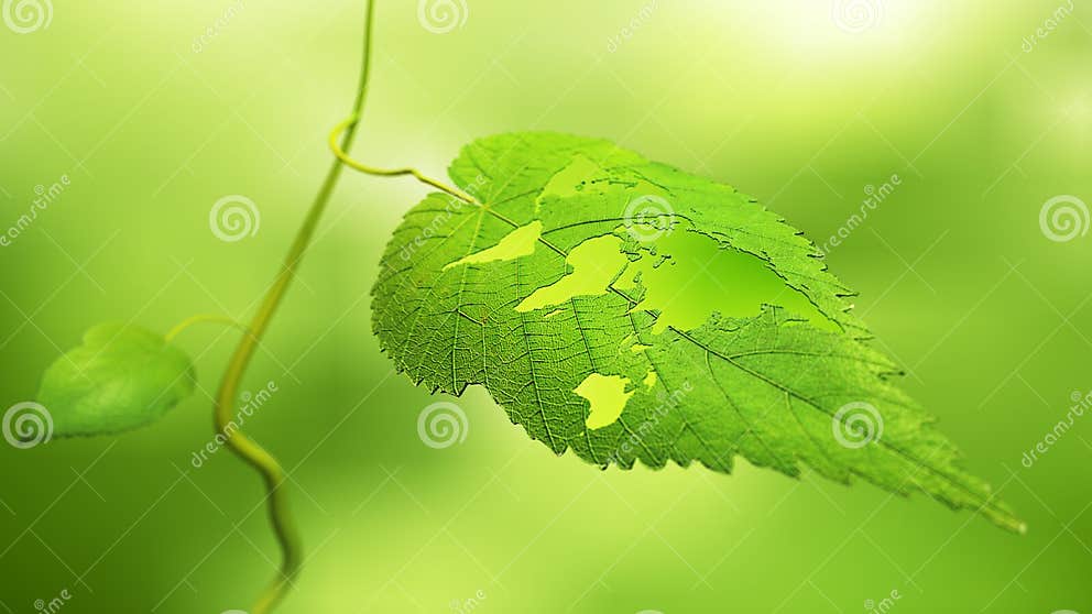 Leaf with a world map stock image. Image of green, ecological - 22979573