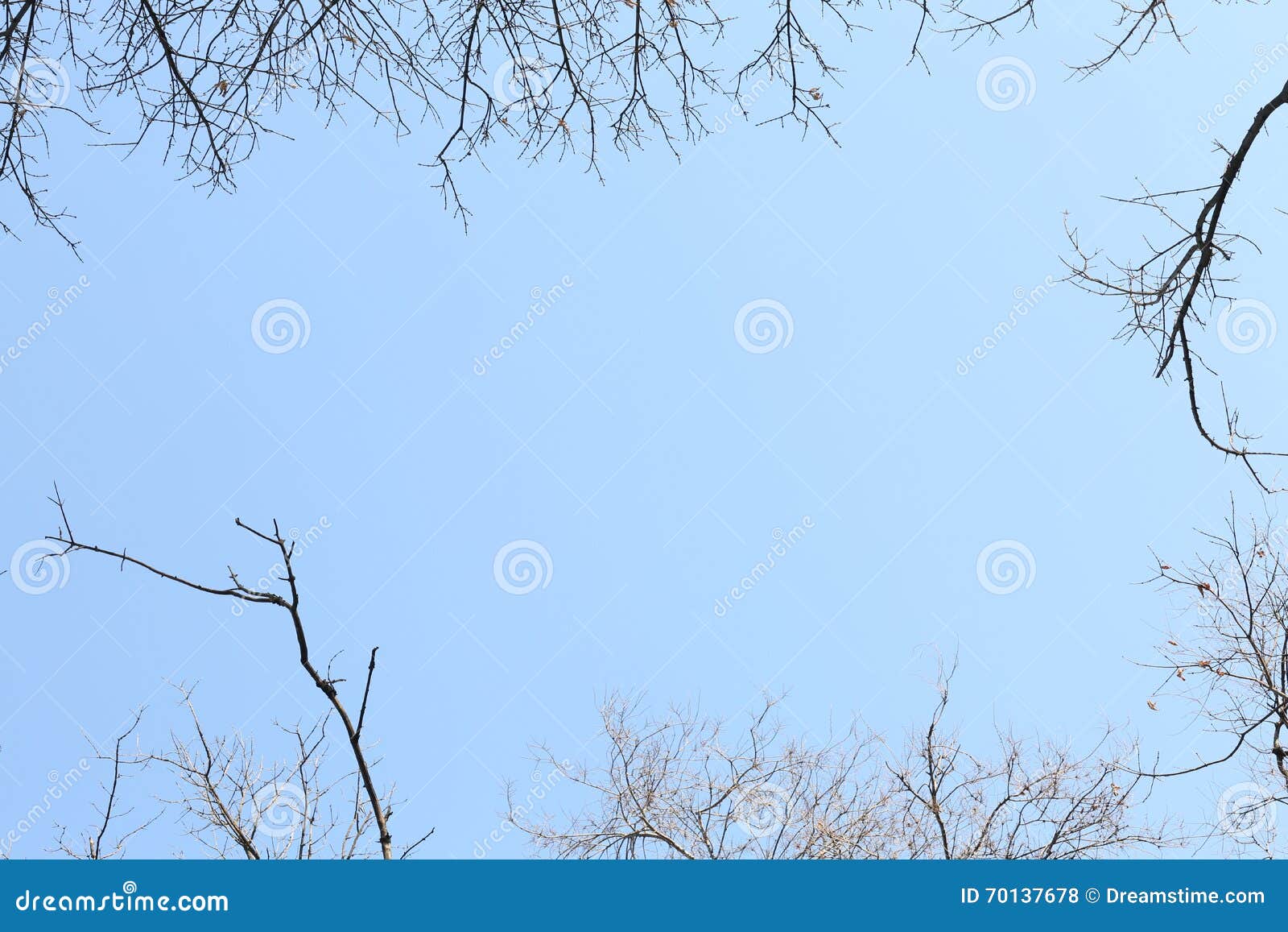 Leafless Branches of a Treetops Against the Blue Sky. Stock Photo ...