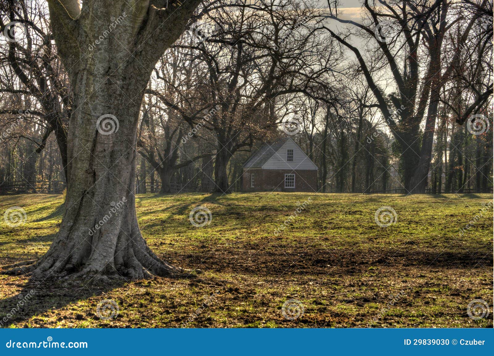 Oak trees on ranch stock photo. Image of trunk, travel - 29839030