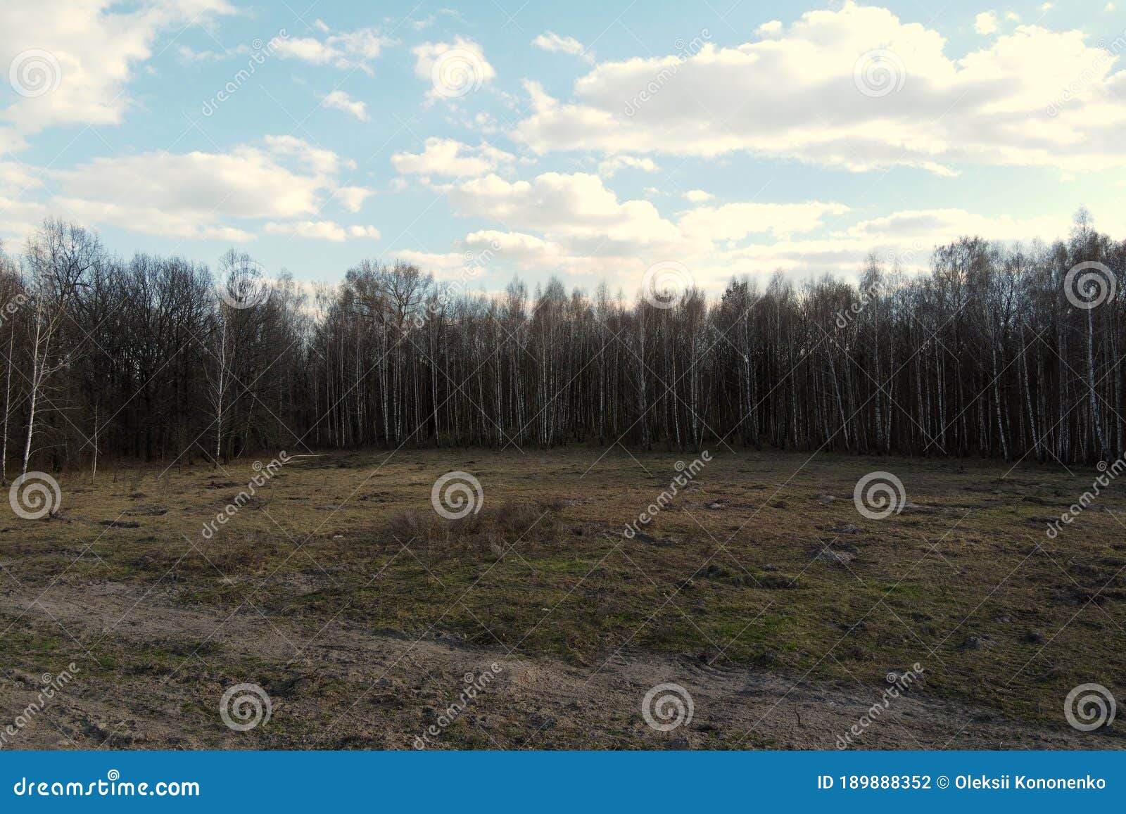 Leafless Spring Forest, Aerial View. Forest Terrain Stock Photo - Image ...