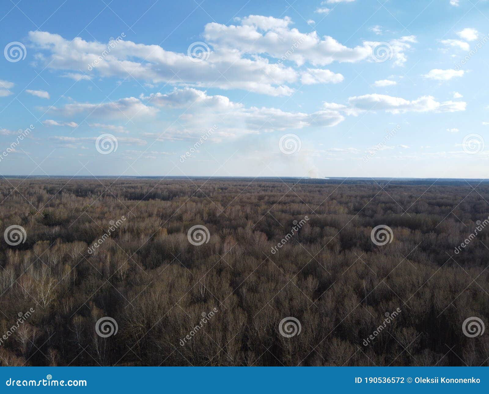 Leafless Spring Forest, Aerial View. Forest Terrain Stock Photo - Image ...