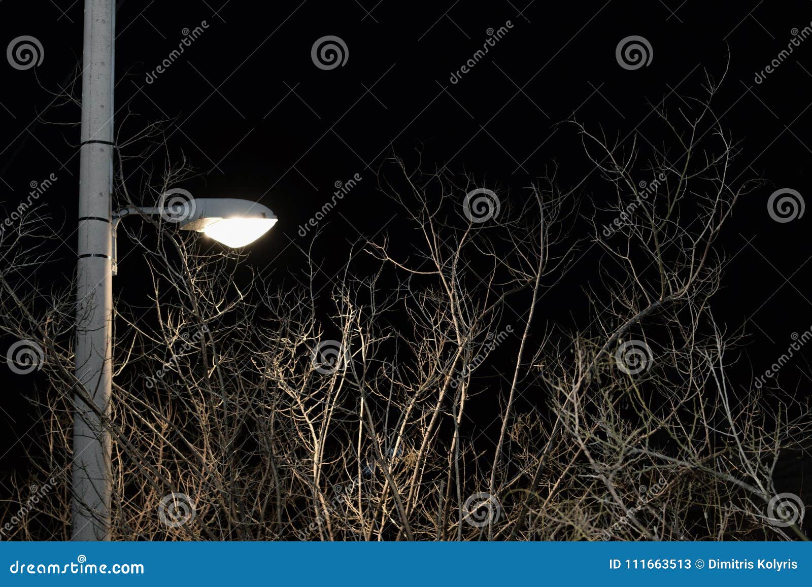 Tree branches night stock image. Image of leafless, background - 111663513