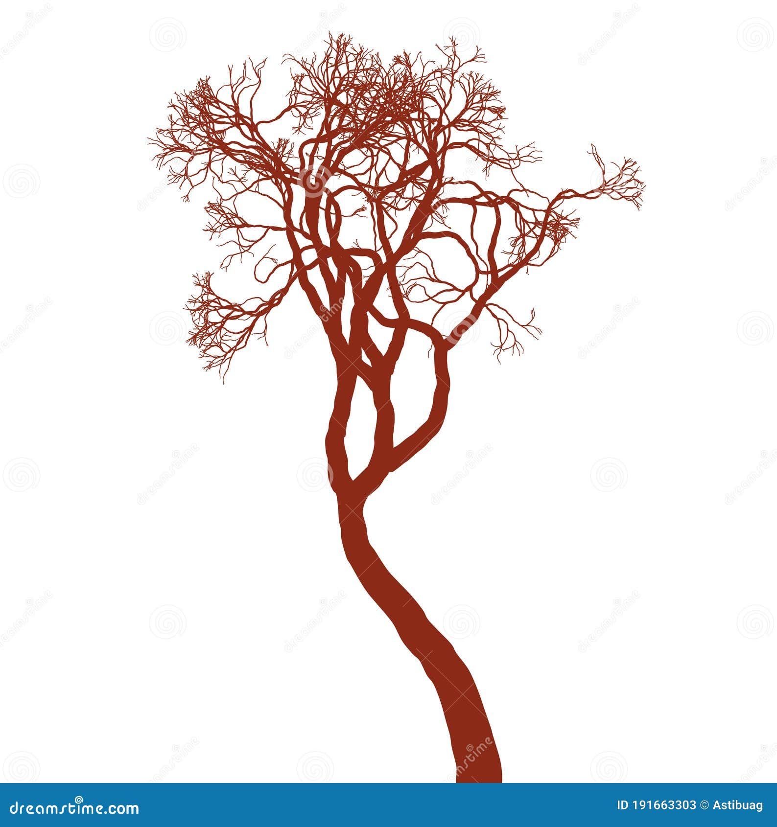 Leafless Tree Silhouette on White Background. Naked Winter Tree. Fine ...