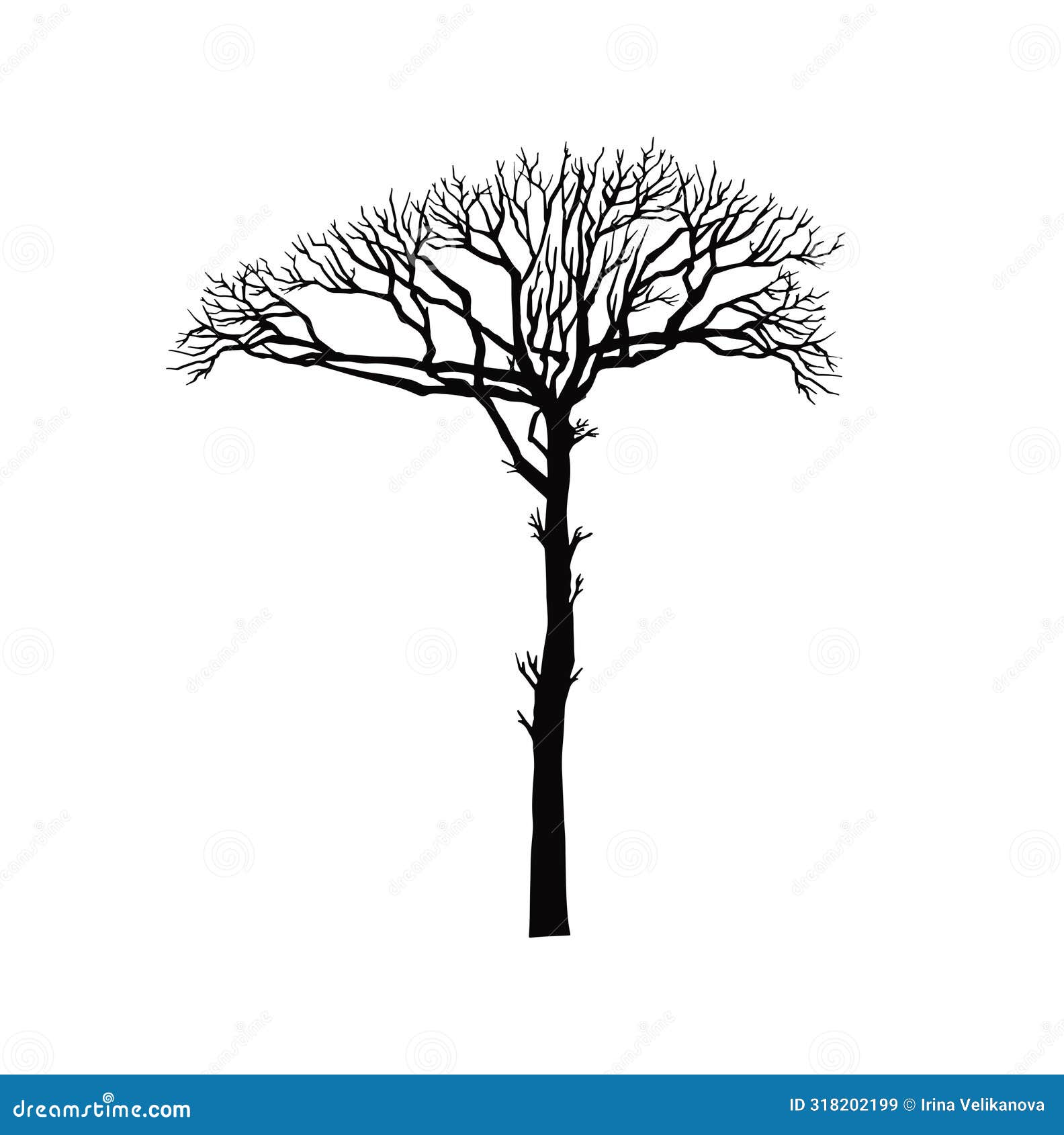 Leafless Tree Silhouette on a White Background . Vector Illustration ...