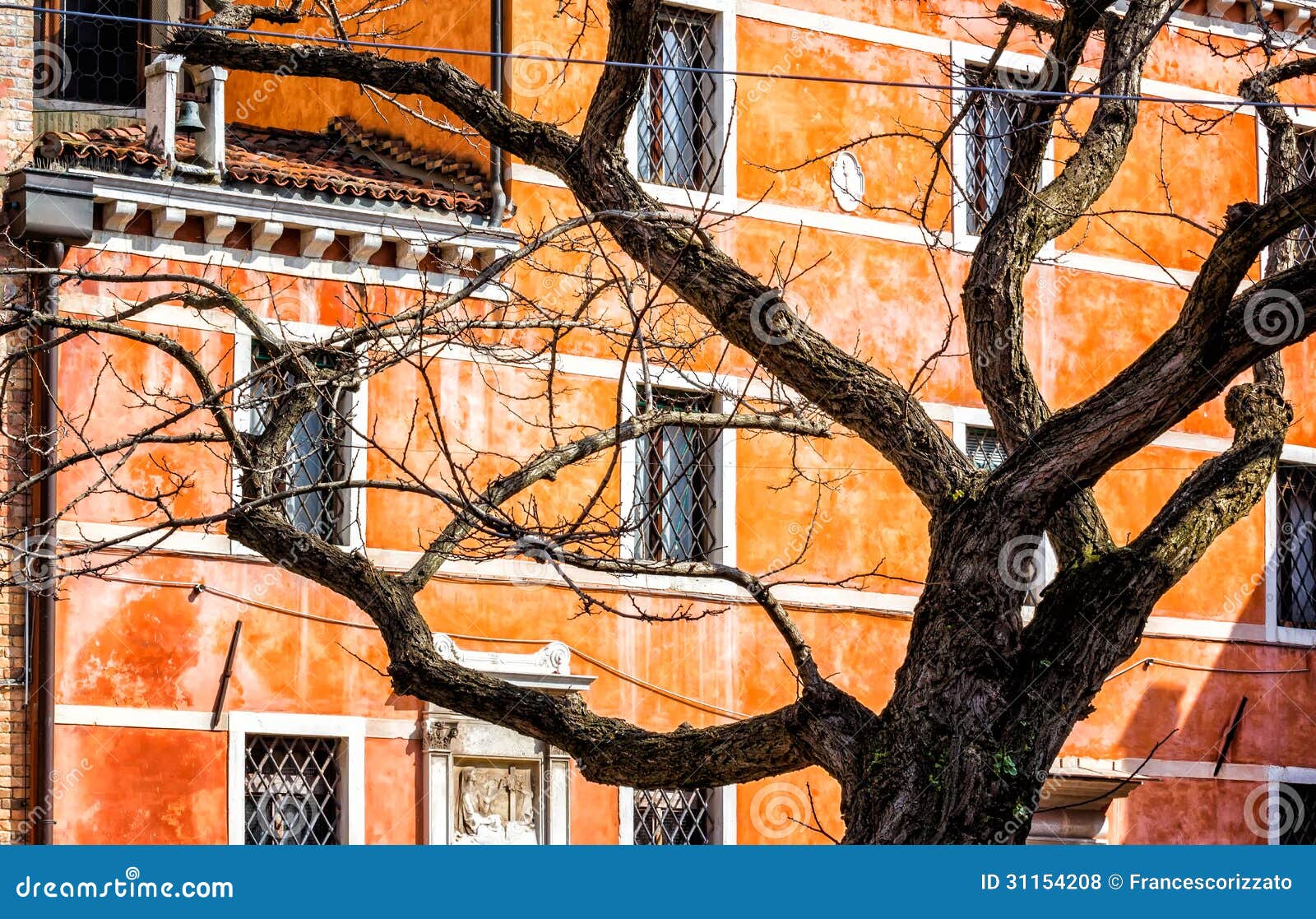 Leafless Tree in Venice, Italy Stock Photo - Image of silhouette, wall ...
