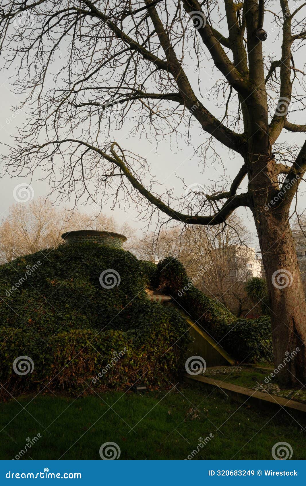 Leafless Trees and Grass-covered Garden Objects Stock Image - Image of ...