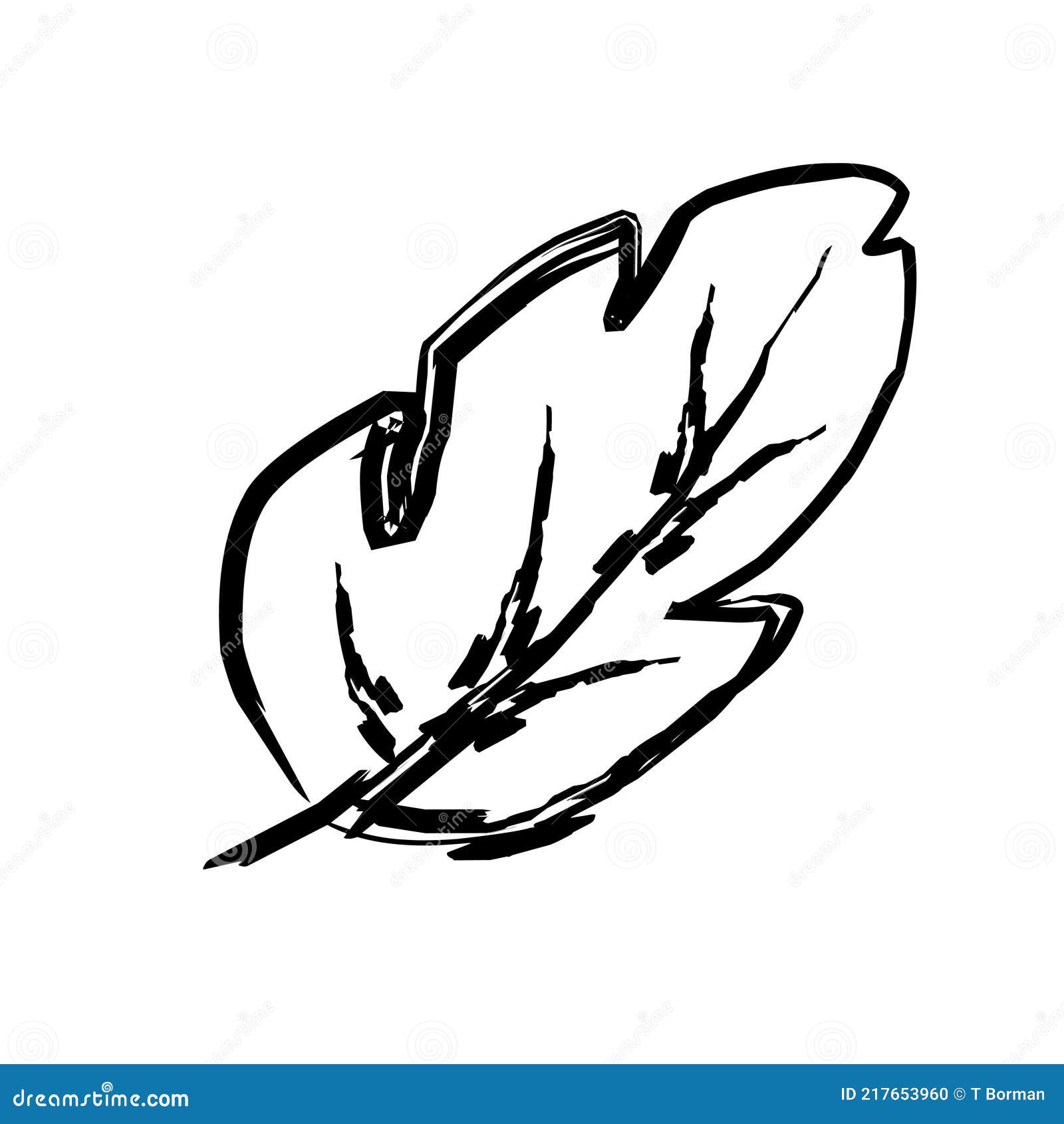 Leaflet Leaf Hand Brush Drawing Minimalistic Isolated Stylized Digital ...