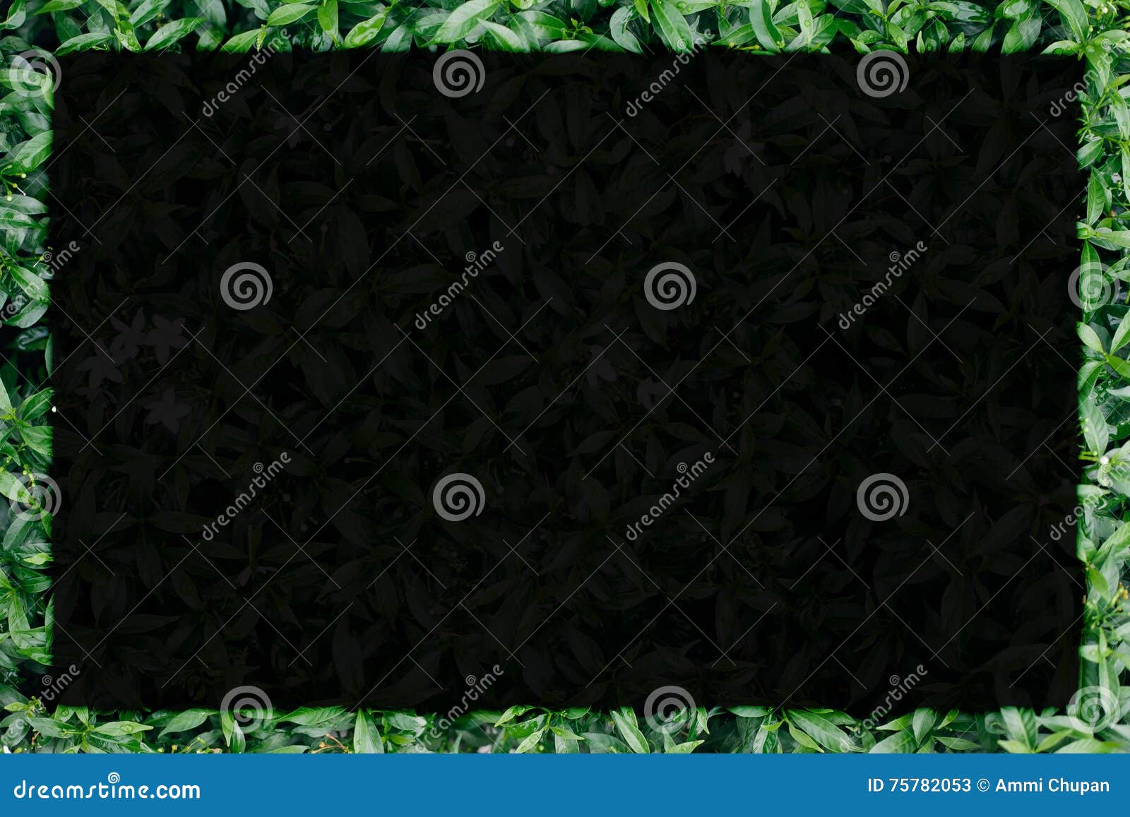 Leafs Green Texture Natural Frame Background Stock Image - Image of ...