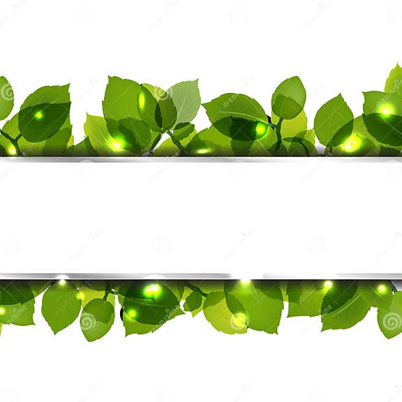 Leafs and Paper Banner stock vector. Illustration of element - 25153634