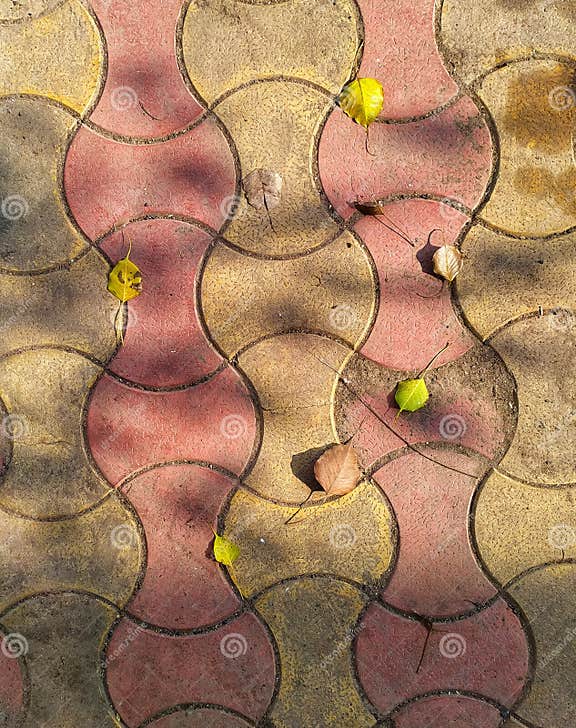 Leafs on Pavement Patterns of Footpath Stock Photo - Image of glass ...