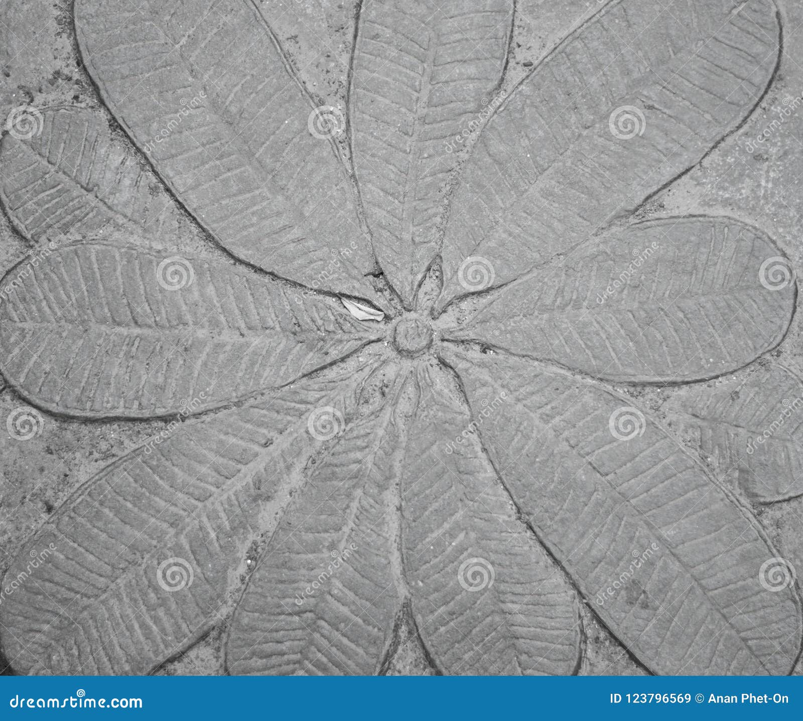 The Tile Pattern on the Ground in the Garden Stock Image - Image of ...