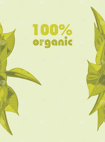 Leafy Background for Wrap Design Stock Vector - Illustration of flora ...