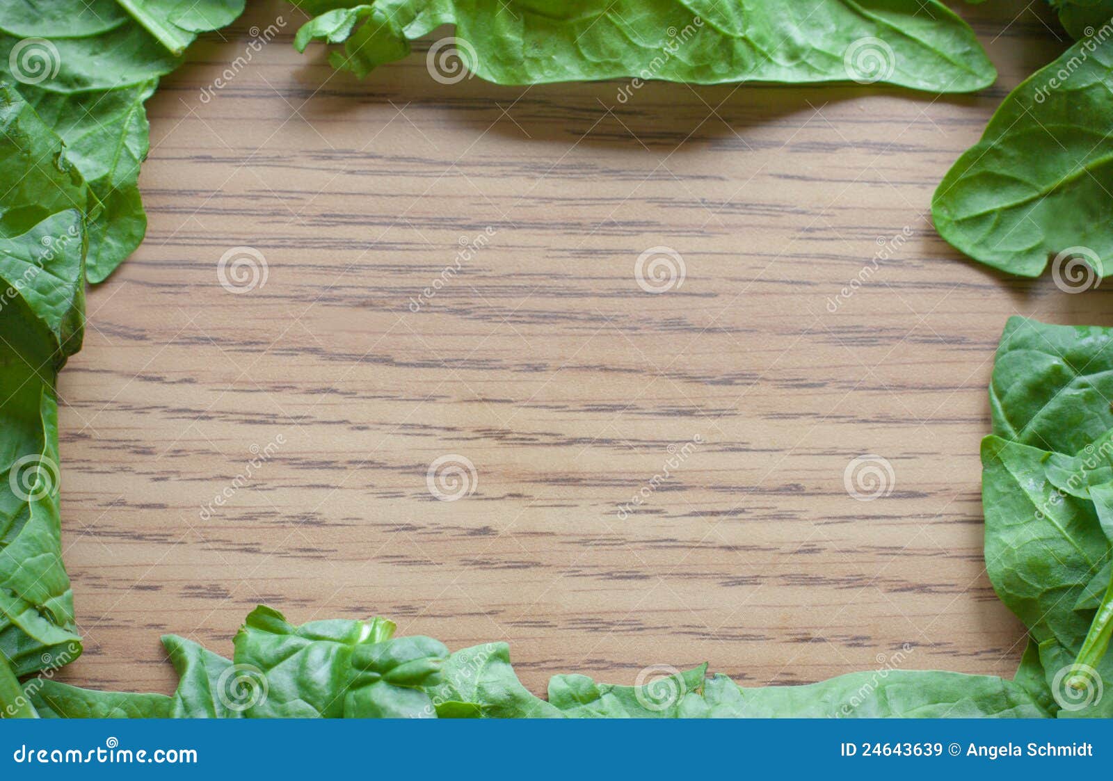 Leafy Green Spinach Border stock image. Image of blank - 24643639