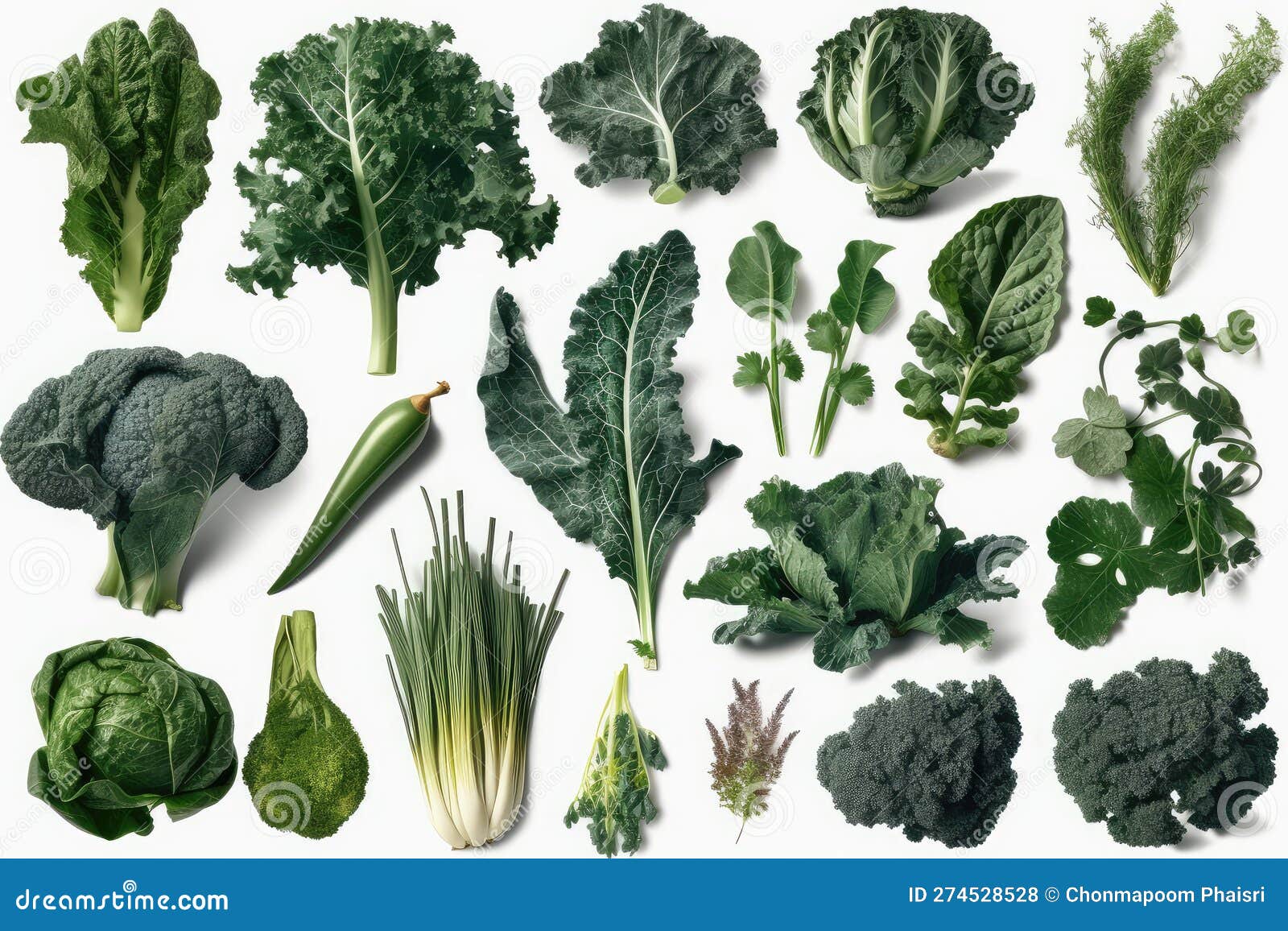 Ear Piercing Examples Vector Illustration | CartoonDealer.com #94038424