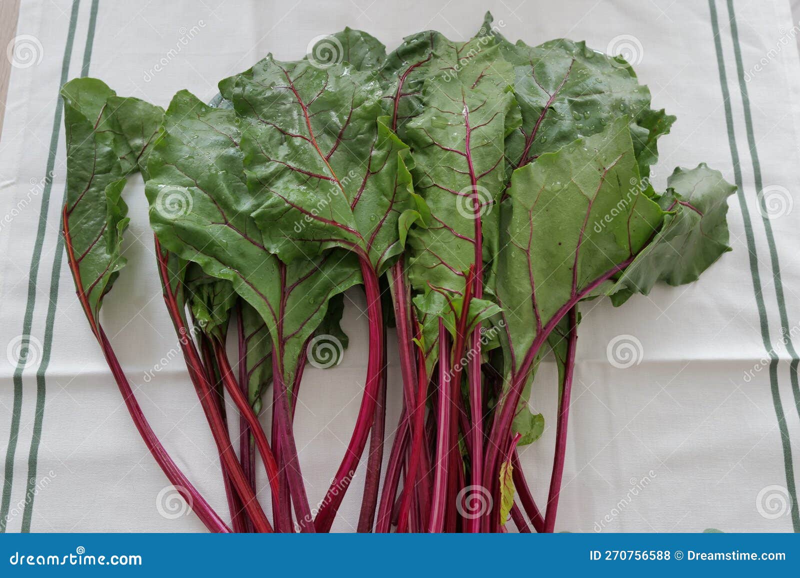 Leafy Greens. Fresh, Young Beetroot Leaves at the Table. Stock Photo ...