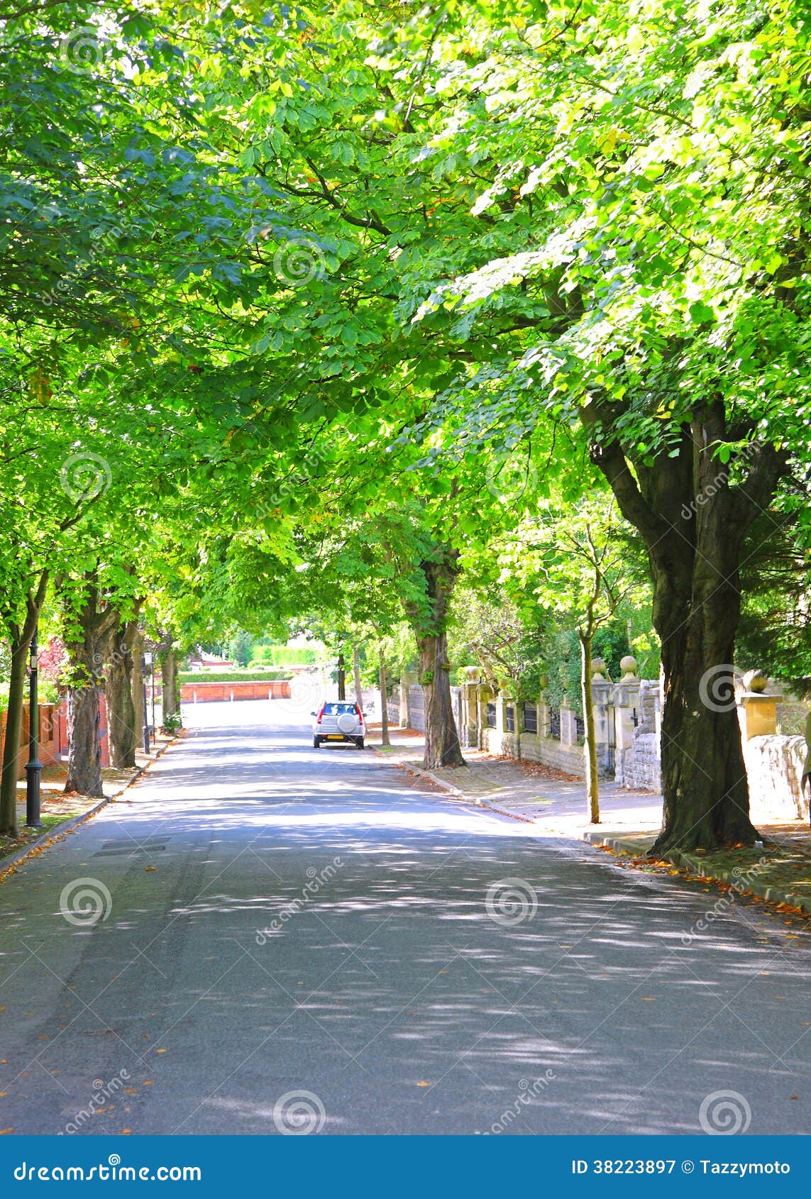 Leafy suburbs stock image. Image of dappled, stone, suburbs - 38223897