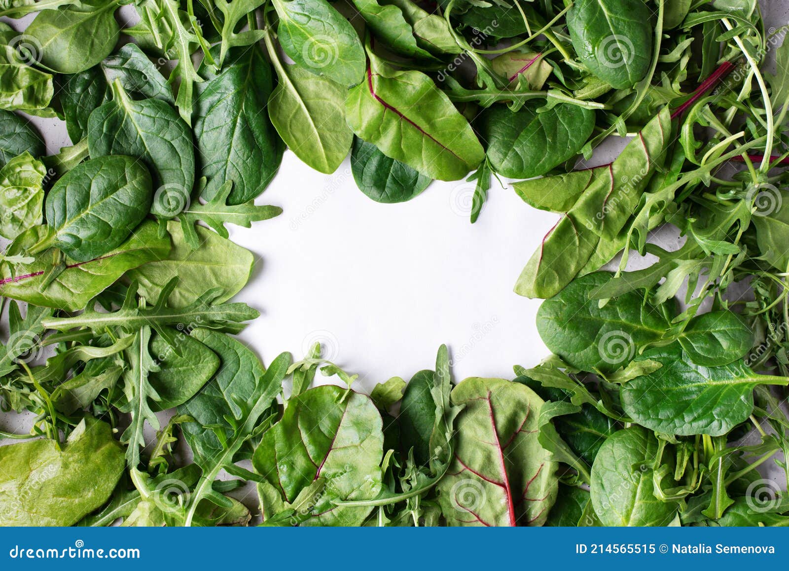 Leafy Vegetable Border: Spinach, Beet, Arugula, Healthy Eating Stock ...
