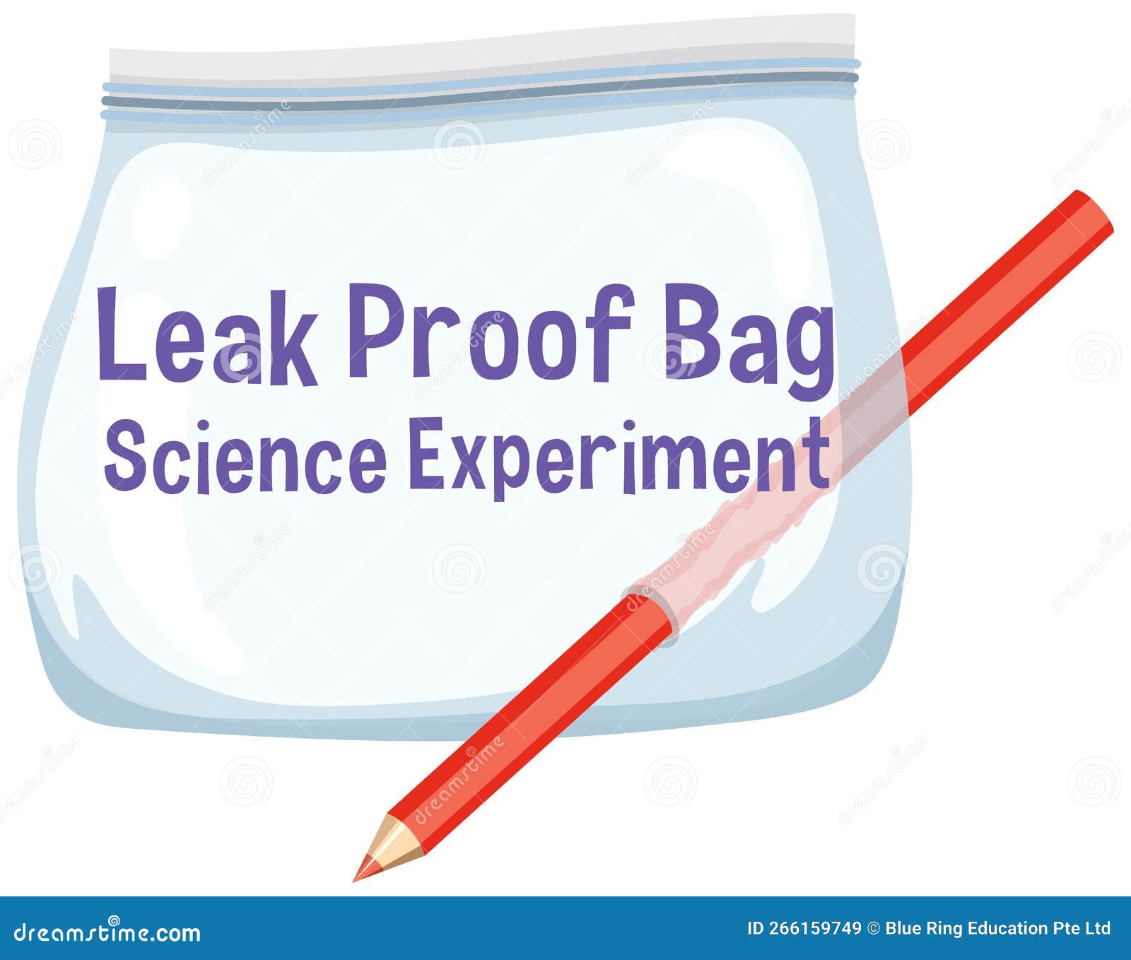 Leak Proof Bag Science Experiment Stock Vector - Illustration of ...