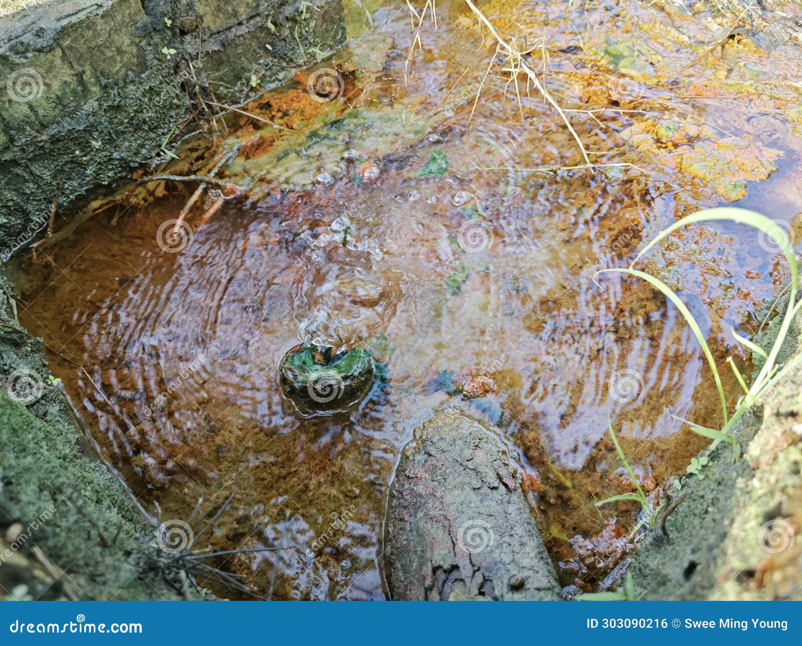 Leakage Water from the Ground Turned Murky when Mixed with the Drainage ...
