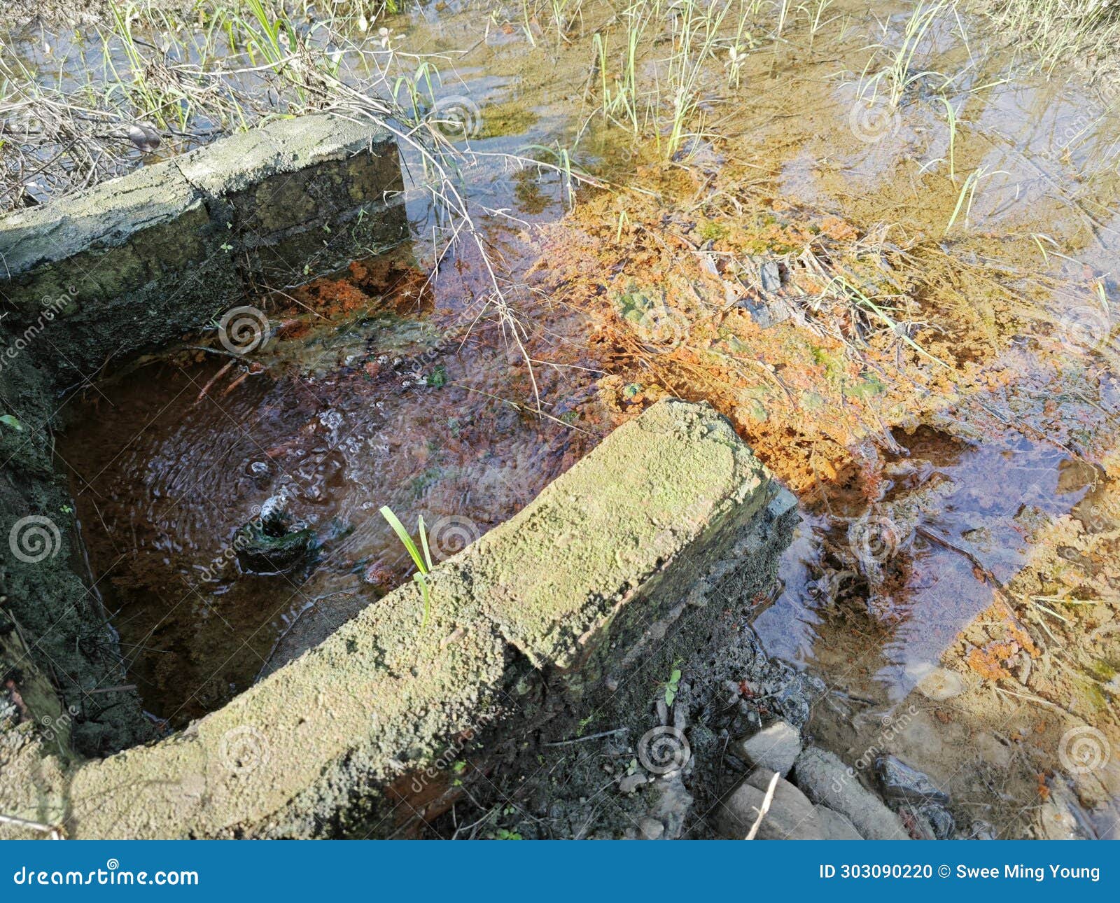 Leakage Water from the Ground Turned Murky when Mixed with the Drainage ...