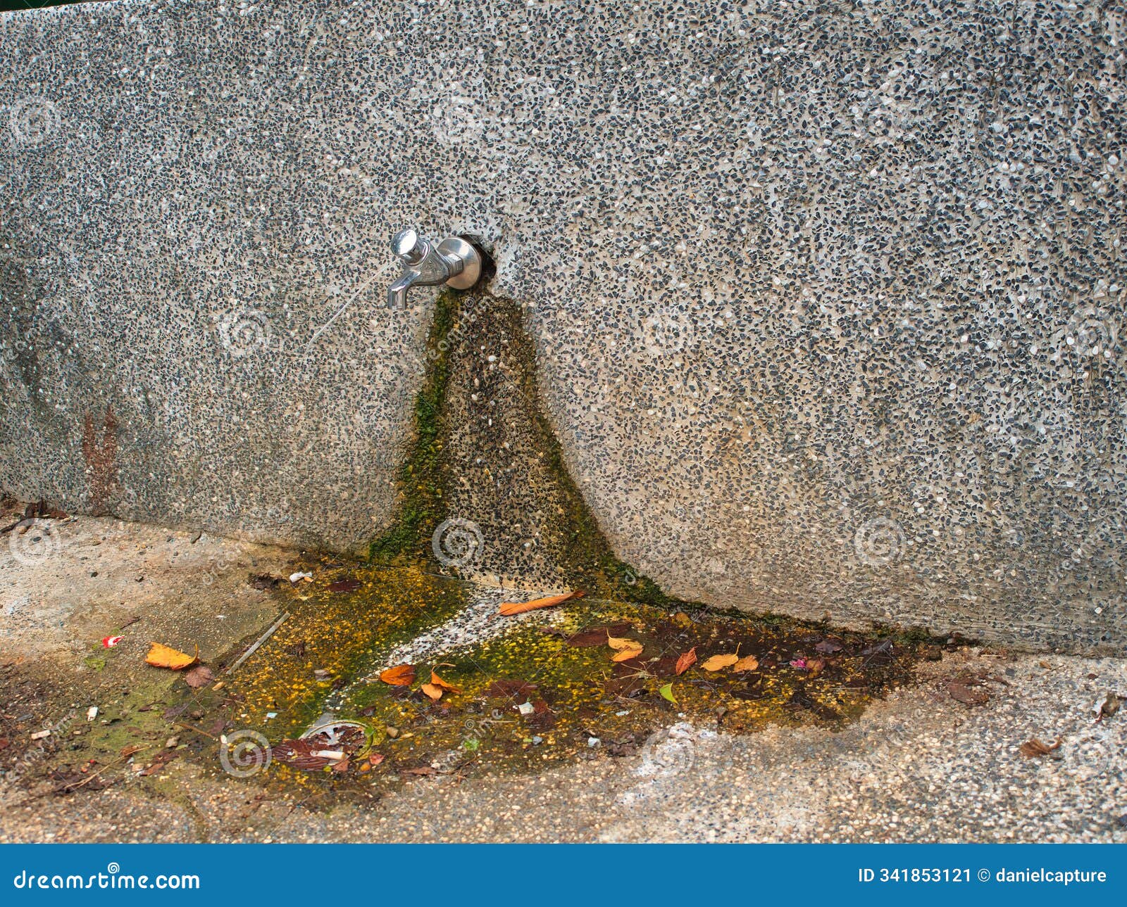 Leaking Faucet on Stone Wall Stock Image - Image of leaves, damp: 341853121 Leaking Faucet on Stone Wall Stock Image - Image of leaves, damp: 341853121