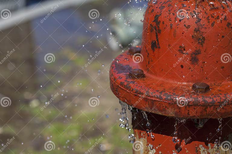 Leaking Fire Hydrant Spraying Water Stock Photo - Image of isolated ...