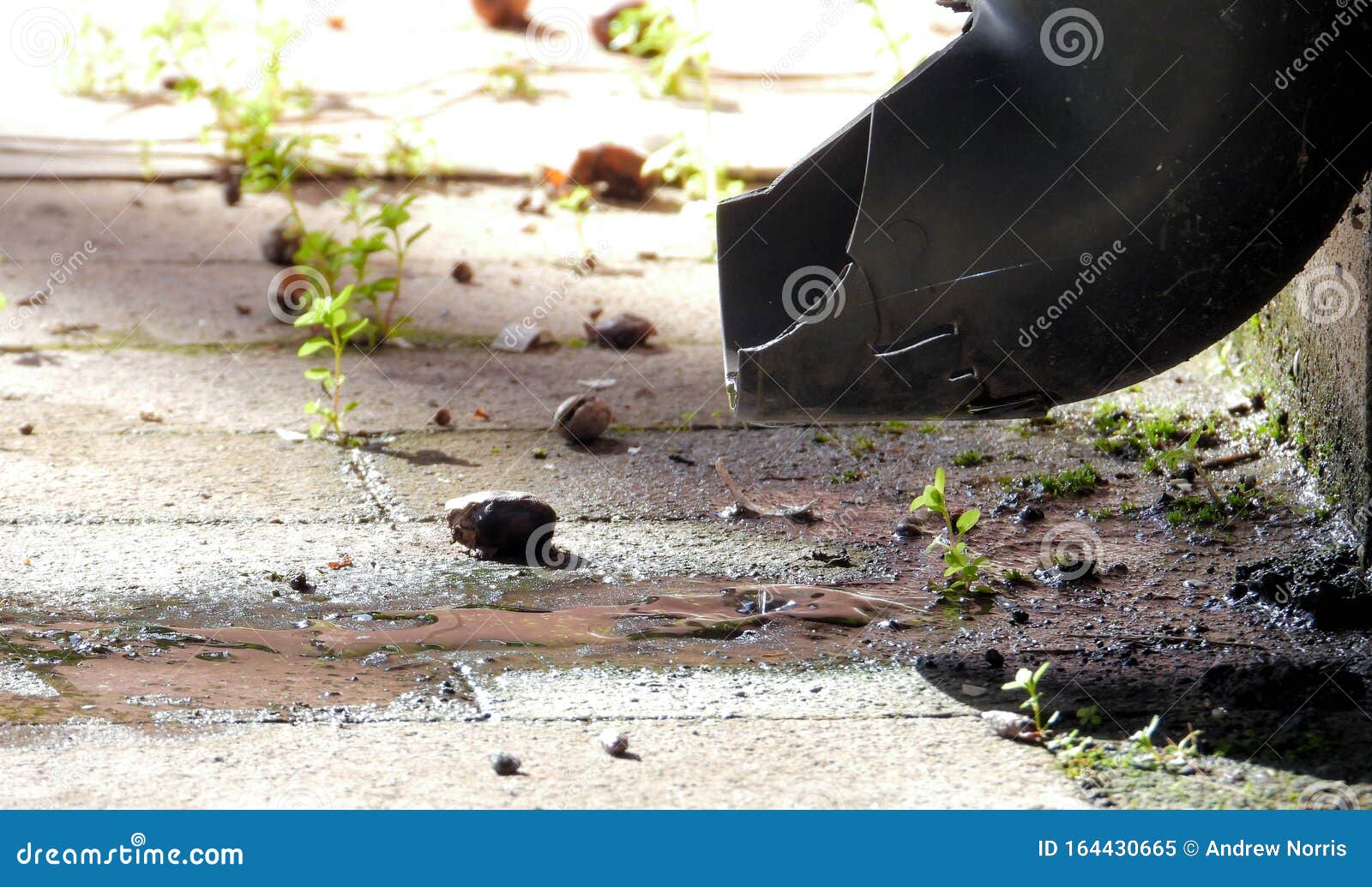 Leaking Gutter stock image. Image of gungy, water, dirty - 164430665