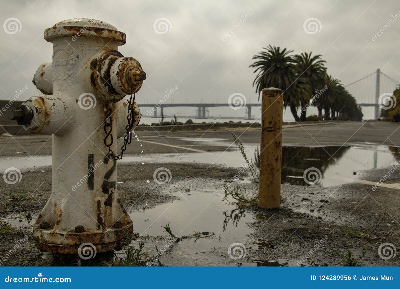 Leaky Fire Hose To Extinguish Fire, Water Is Spilled, A Ruptured Hose ...