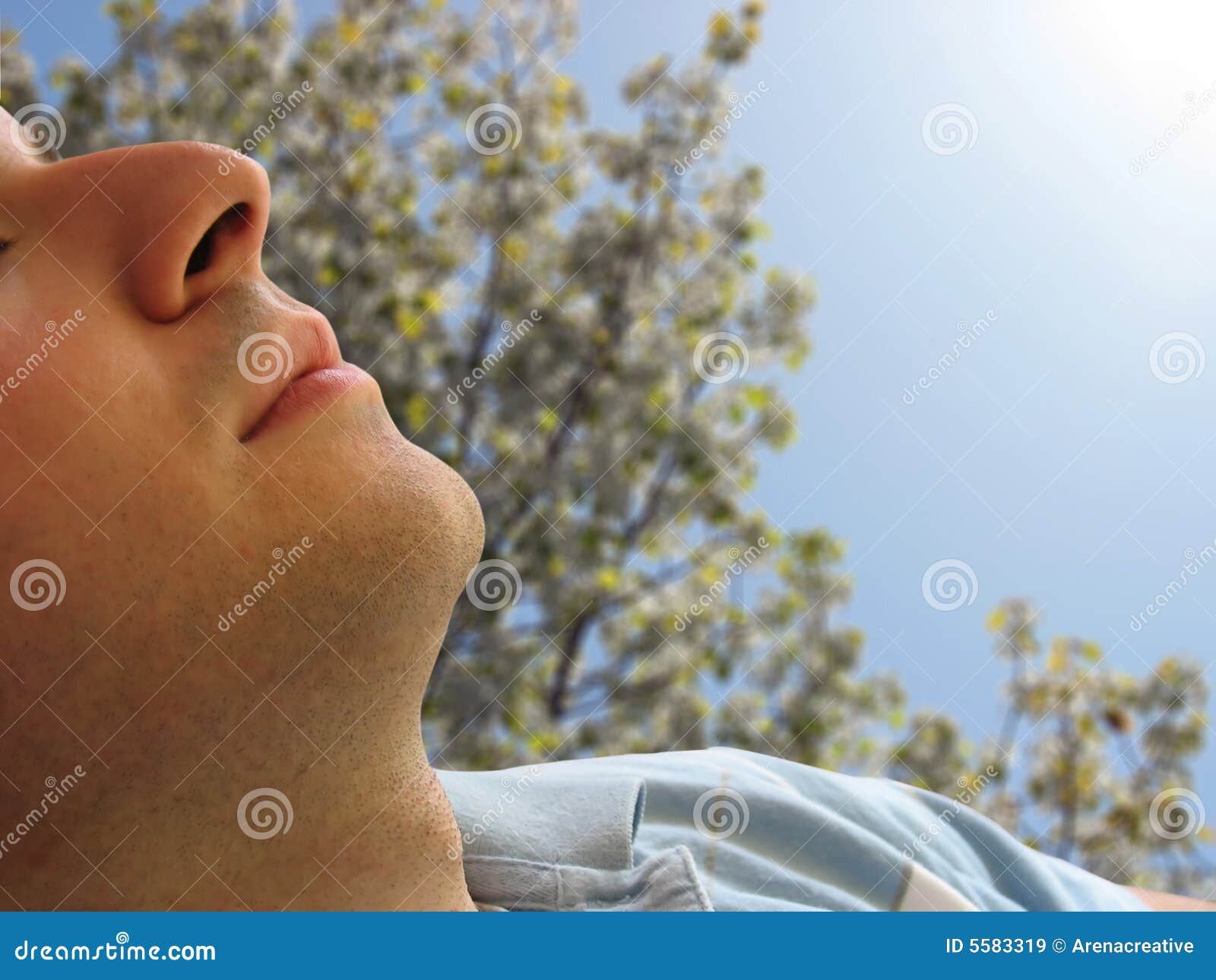 Lean back stock image. Image of italian, relaxing, collar - 5583319