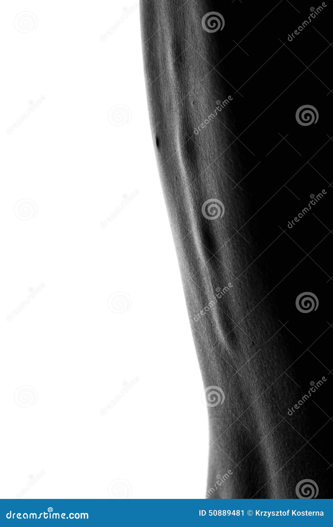 Lean back women stock image. Image of slim, background - 50889481