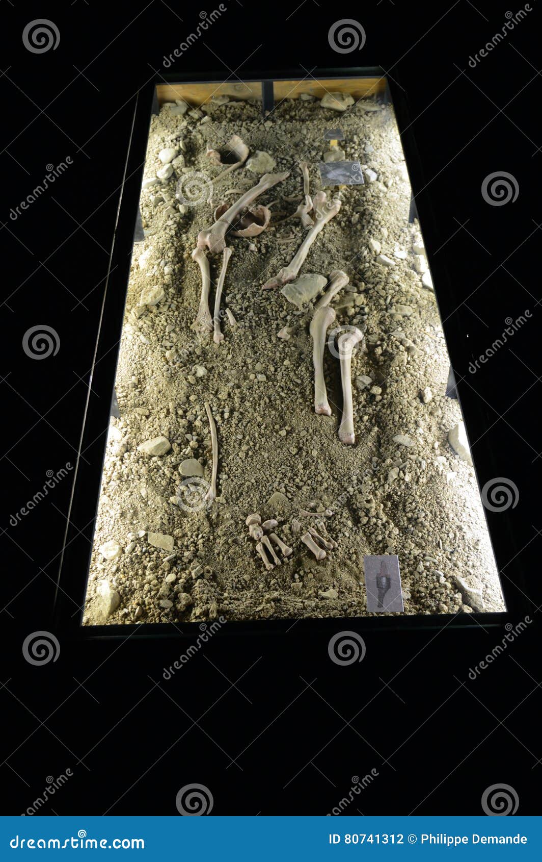 Lean and dried bones stock photo. Image of meat, health - 80741312