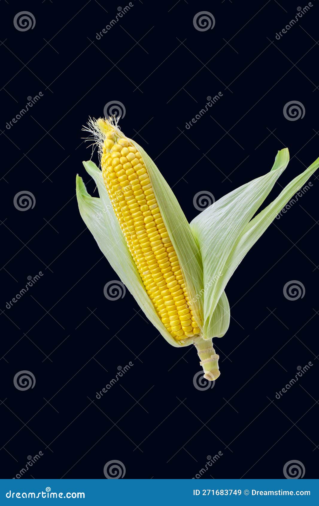 Lean, Plump, Human, Staple Food, Corn, Black Background, Maize Stock ...