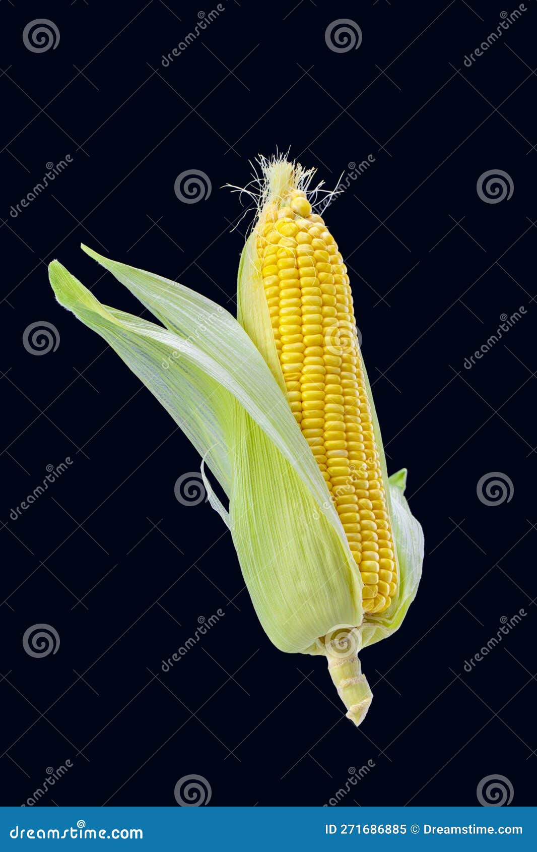 Lean, Plump, Human, Staple Food, Corn, Black Background, Maize Stock ...