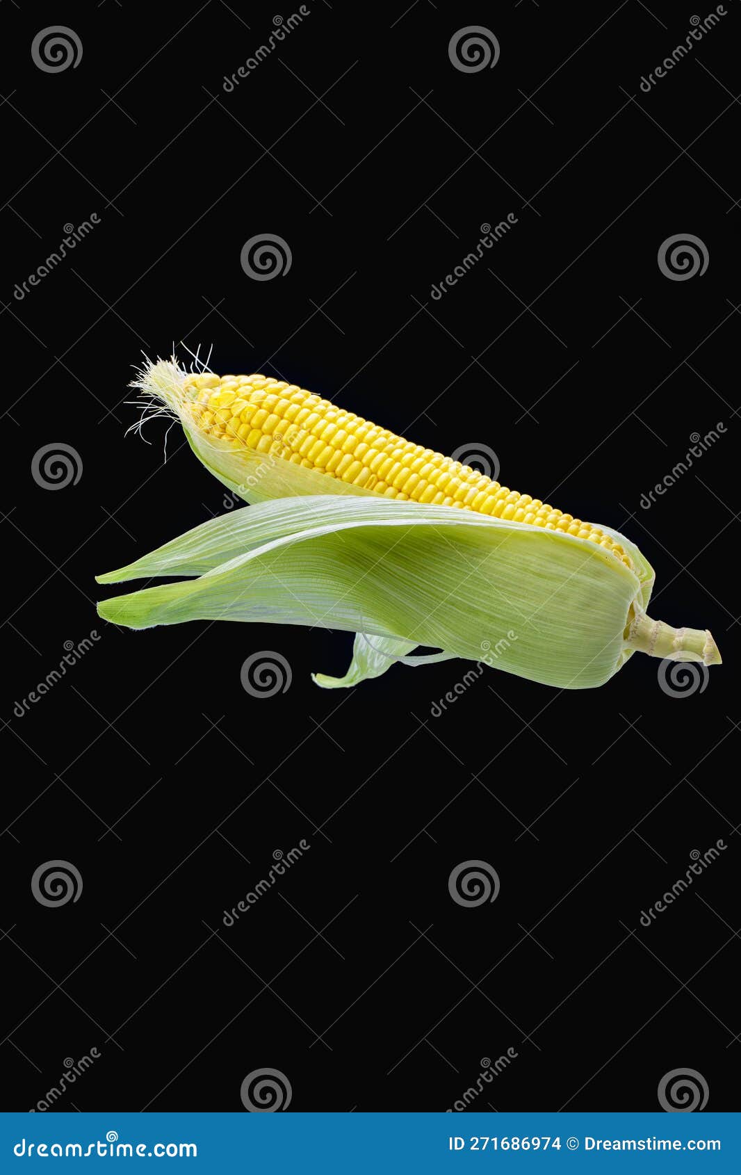 Lean, Plump, Human, Staple Food, Corn, Black Background, Maize Stock ...