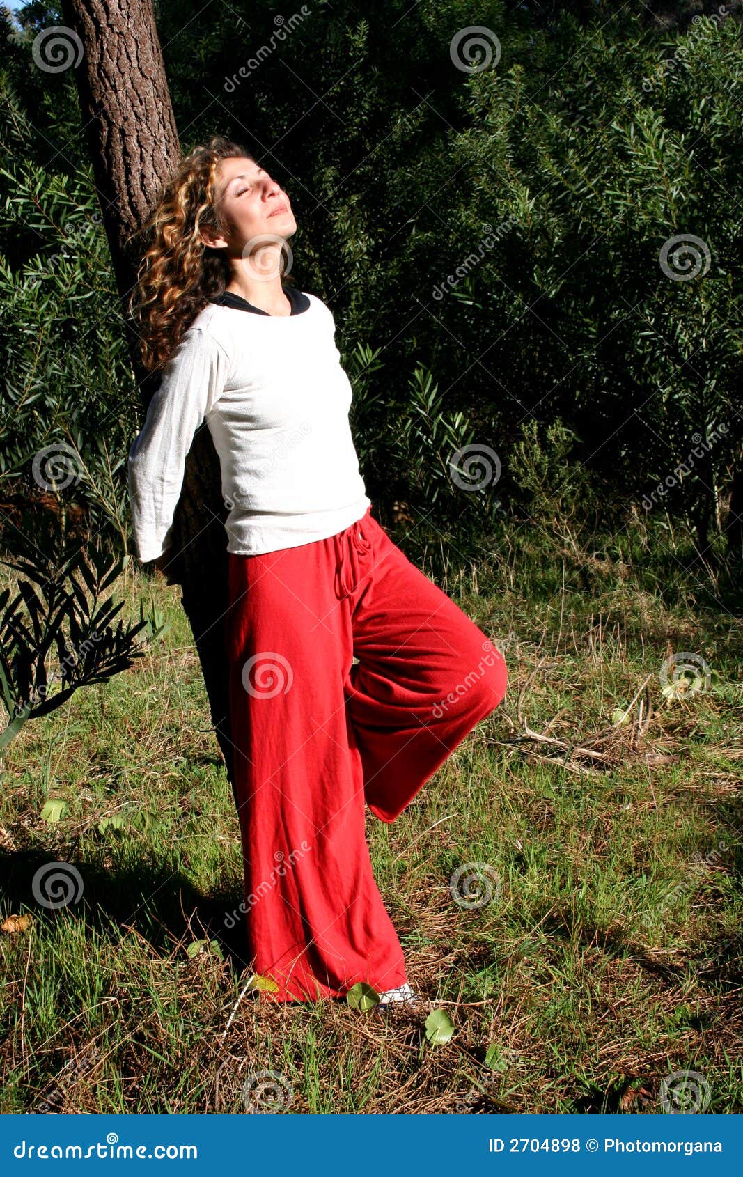 Leaning against a tree stock photo. Image of dreaming - 2704898