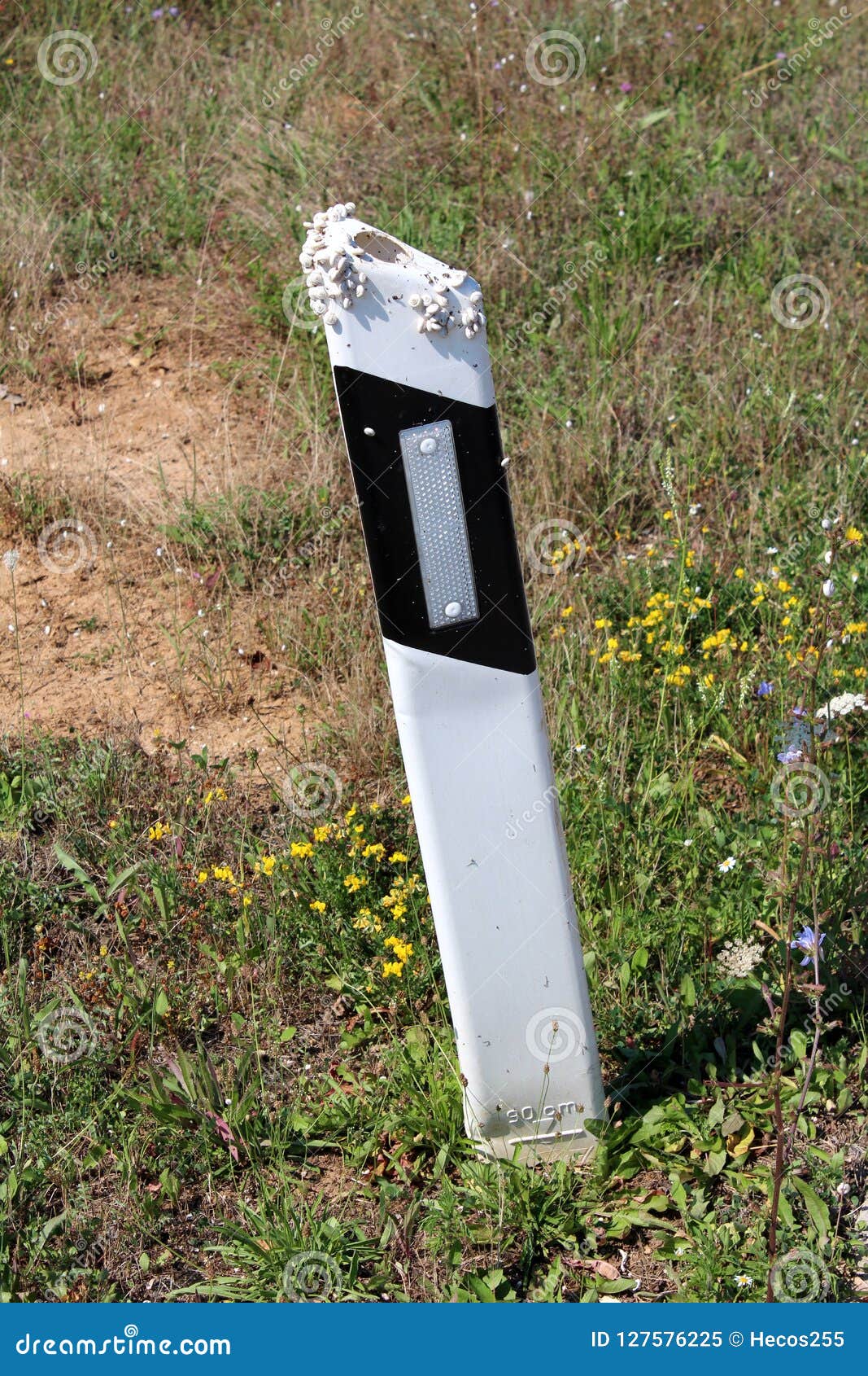Leaning Black and White Plastic Roadside Pole with Reflective Patch ...